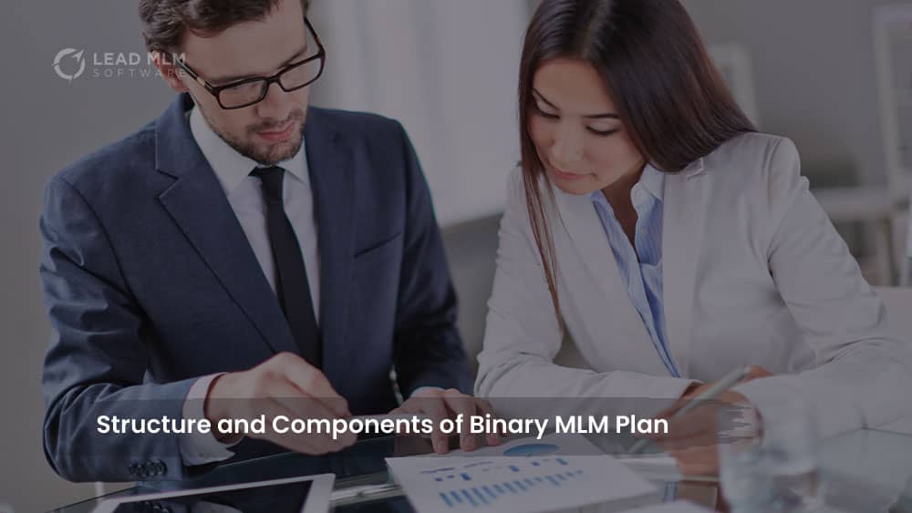Structure and Components of Binary MLM Plan